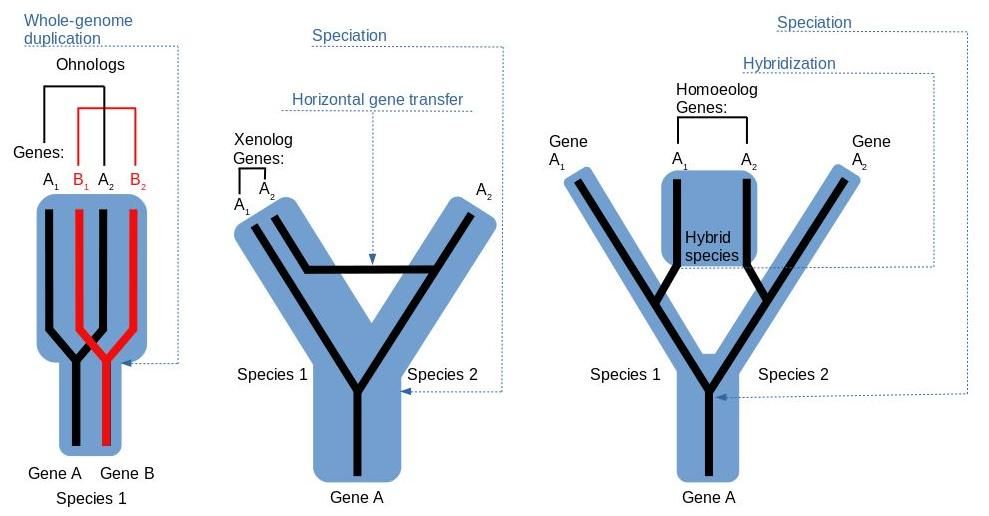Bioinformatics and Data Science